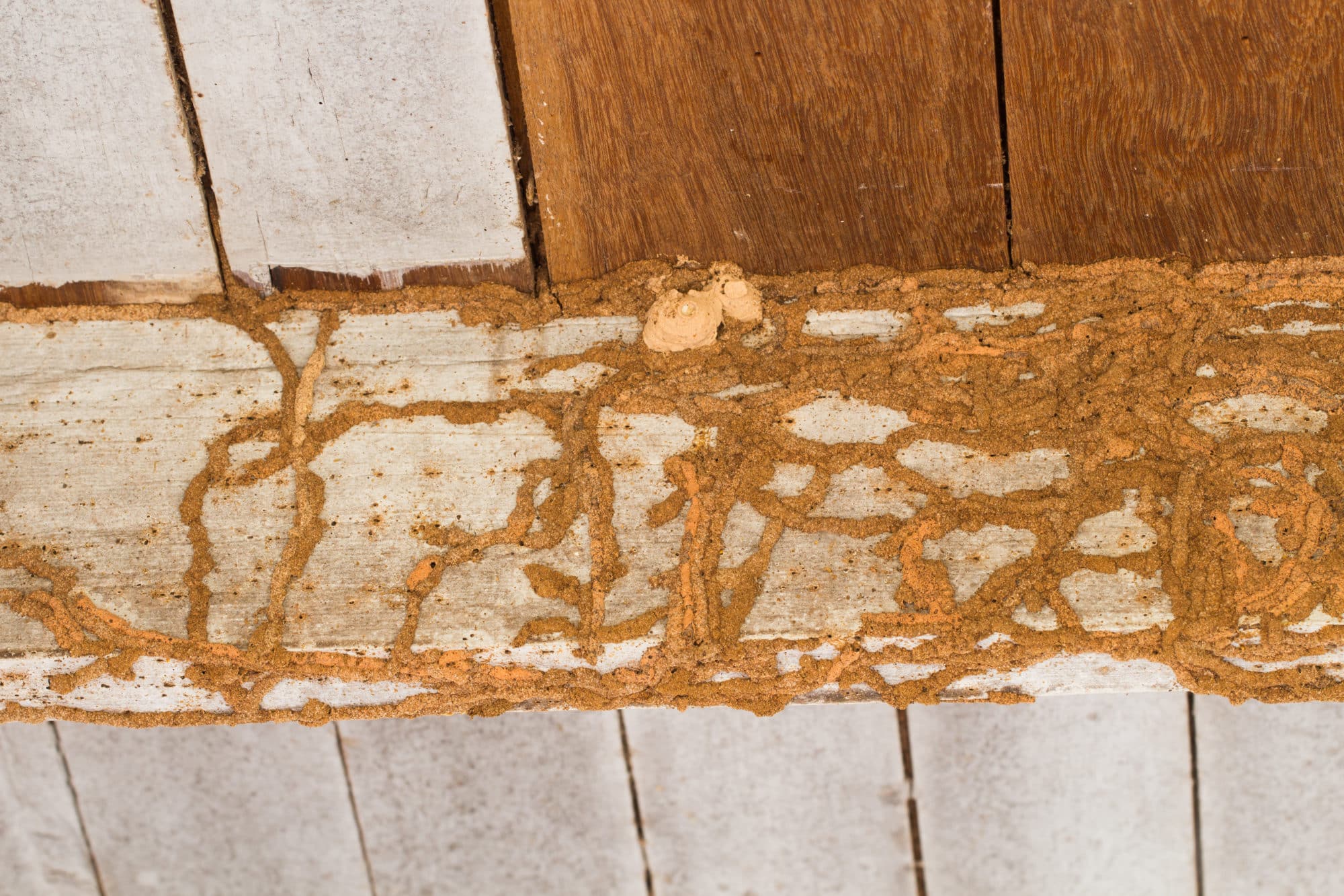 How to Get the Most Out of Your Crawl Space - Basement Repair ...