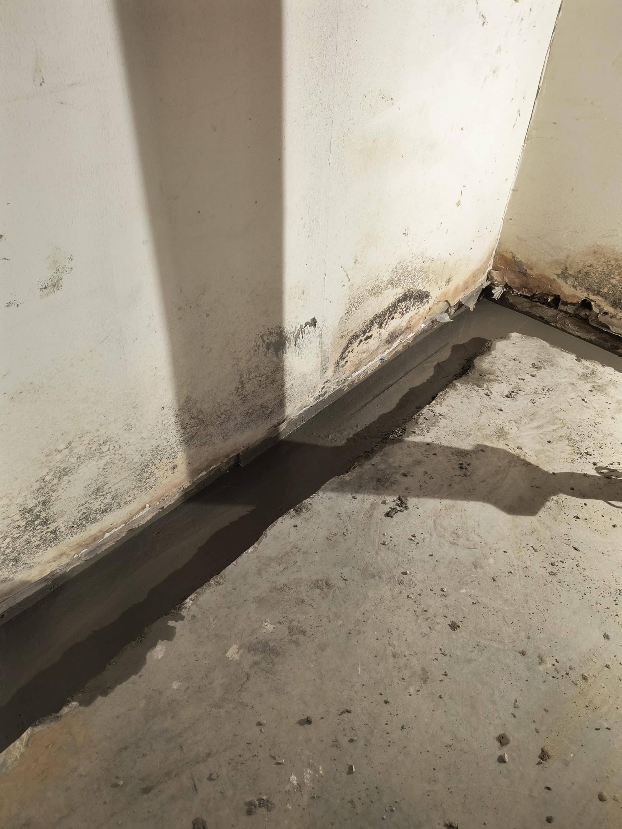 Drain Tile: Your Guide to Installation and Maintenance